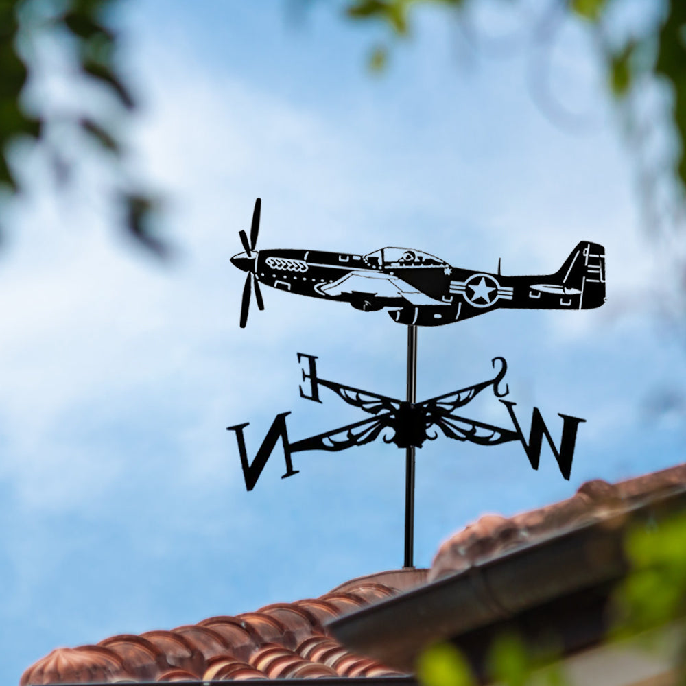 Aircraft Stainless Steel Weathervane – Bohometalart.com