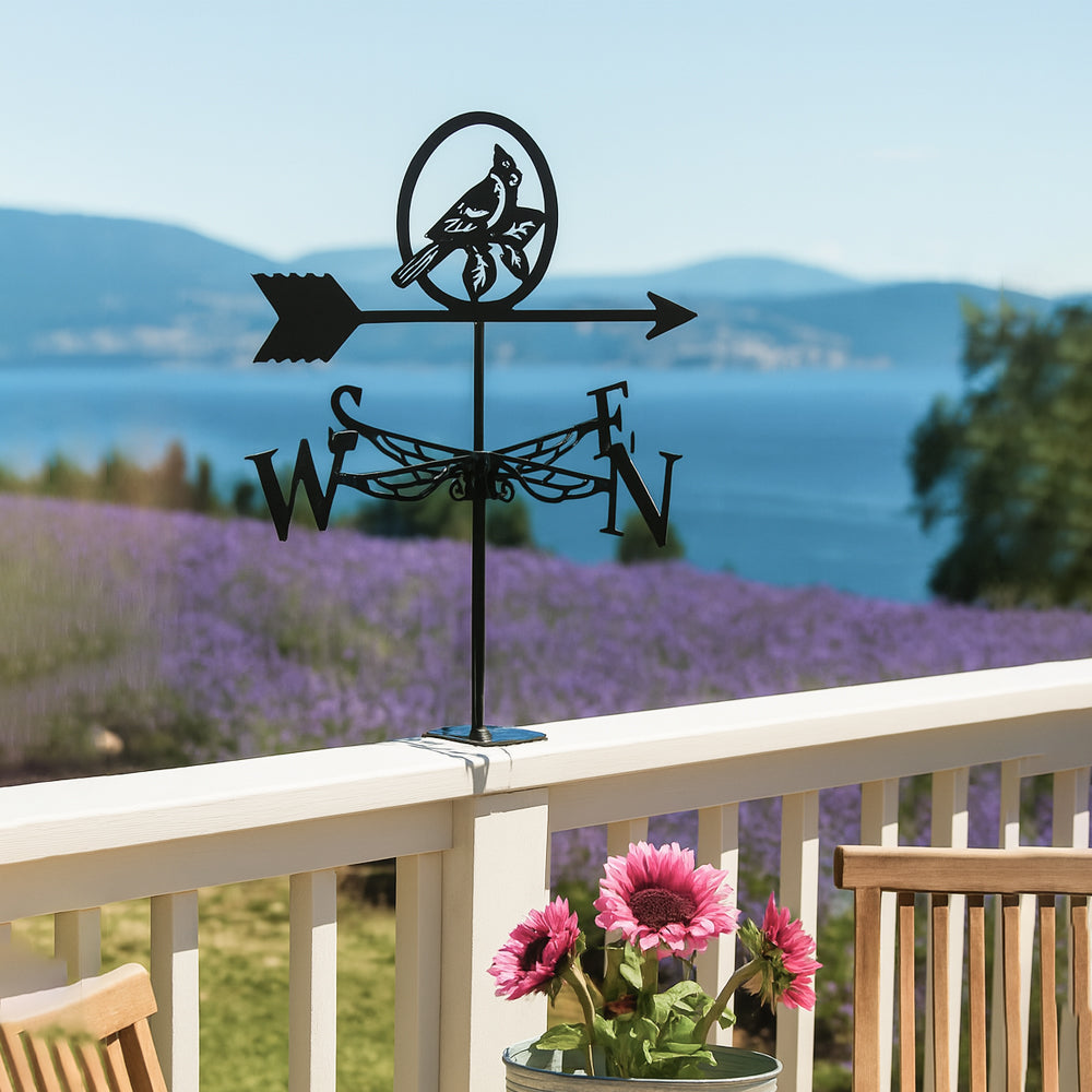 Cardinal Stainless Steel Weathervane – Bohometalart.com