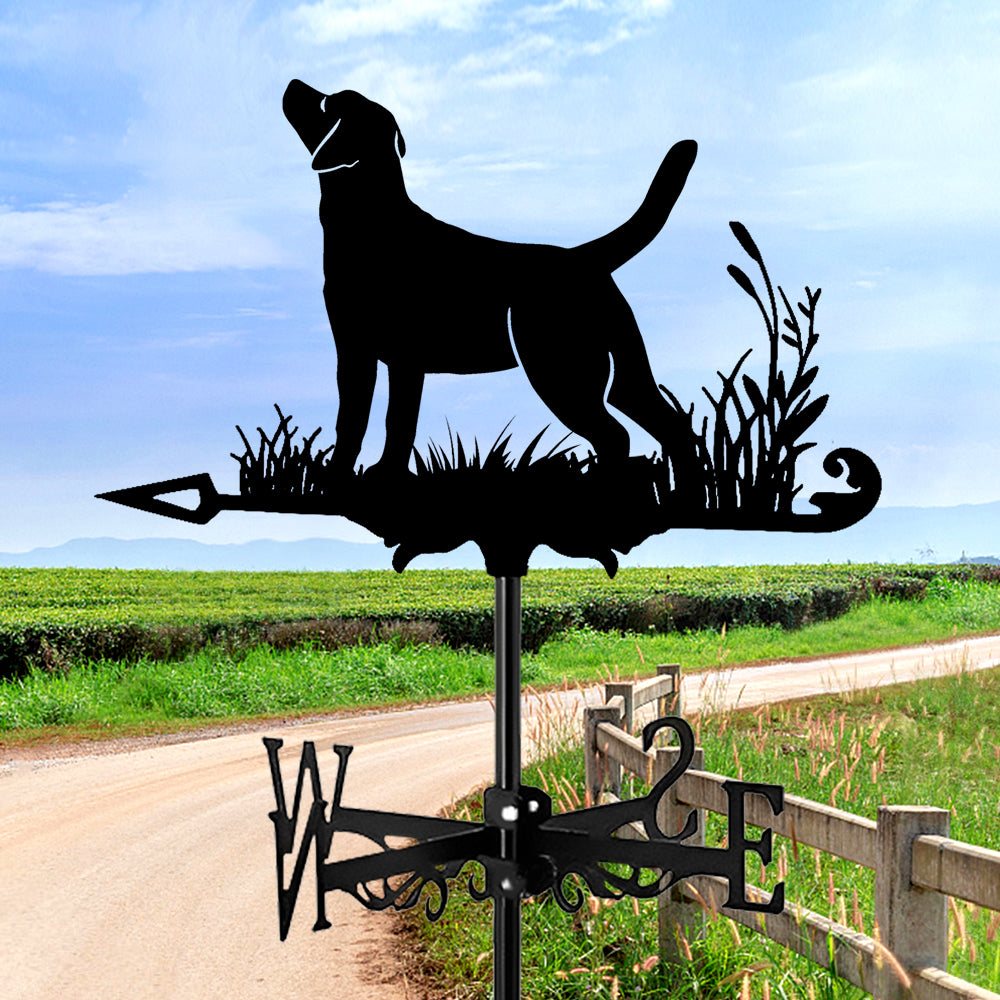 Labrador Stainless Steel Weathervane – Bohometalart.com